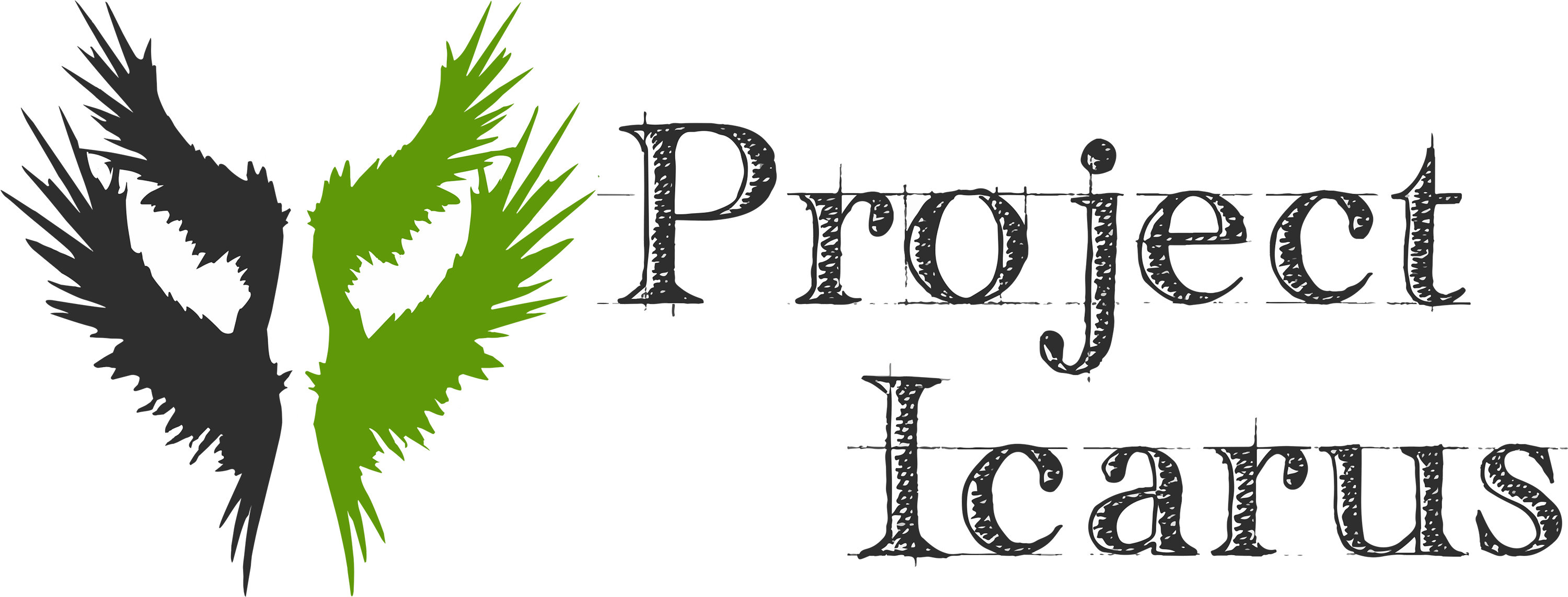 Project Icarus - René van Rixel